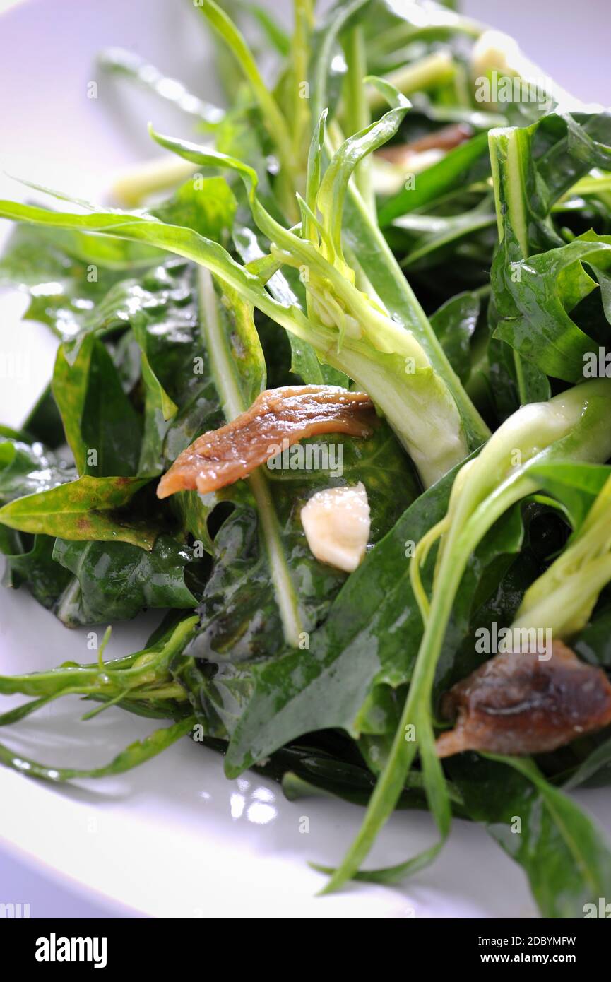 vegetable dish called in Rome puntarelle or puntarella romana or the ...