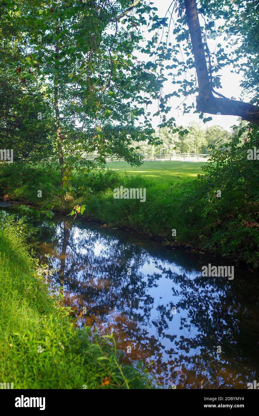 Green pasture stream trees hi-res stock photography and images - Alamy
