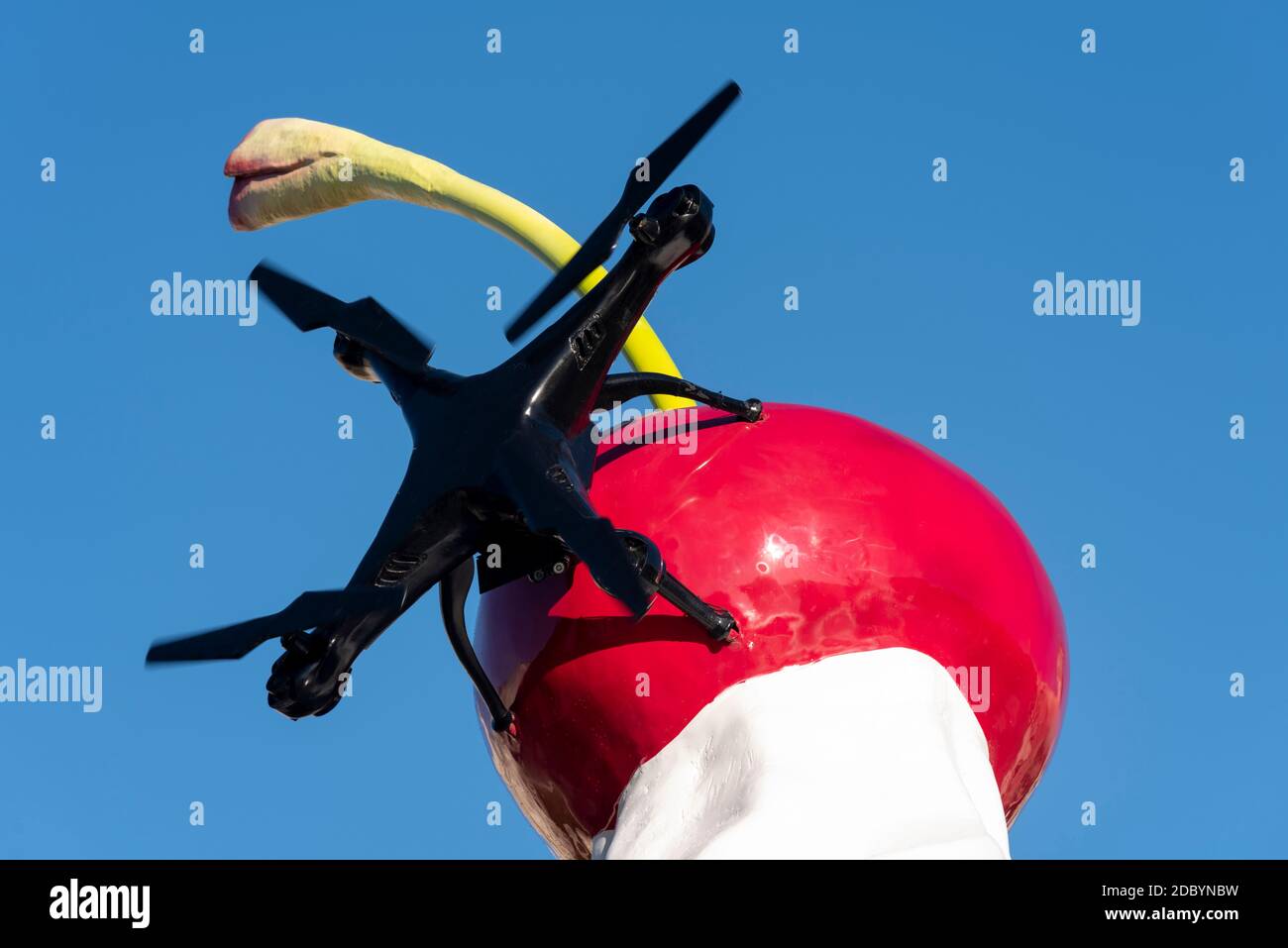 The End. A dollop of whipped cream with an assortment of toppings: a ...