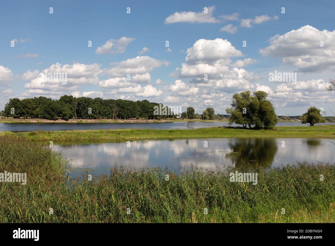 An der Oder unterwegs Stock Photo - Alamy
