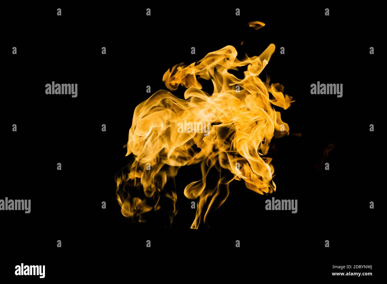 Fire flames on black background isolated. Burning gas or gasoline burns ...