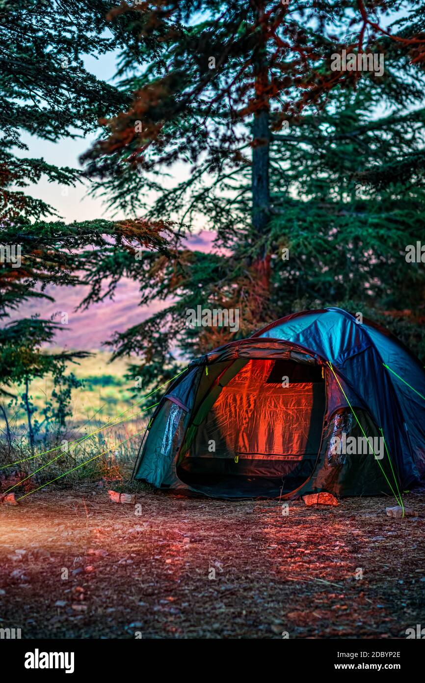 Sleeping in the forest hi-res stock photography and images - Alamy