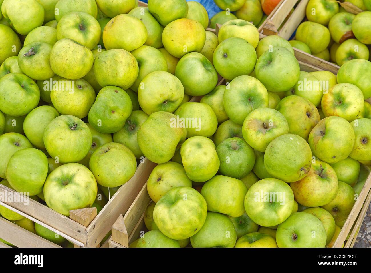 Organic green apples fruits in wooden crates Stock Photo - Alamy