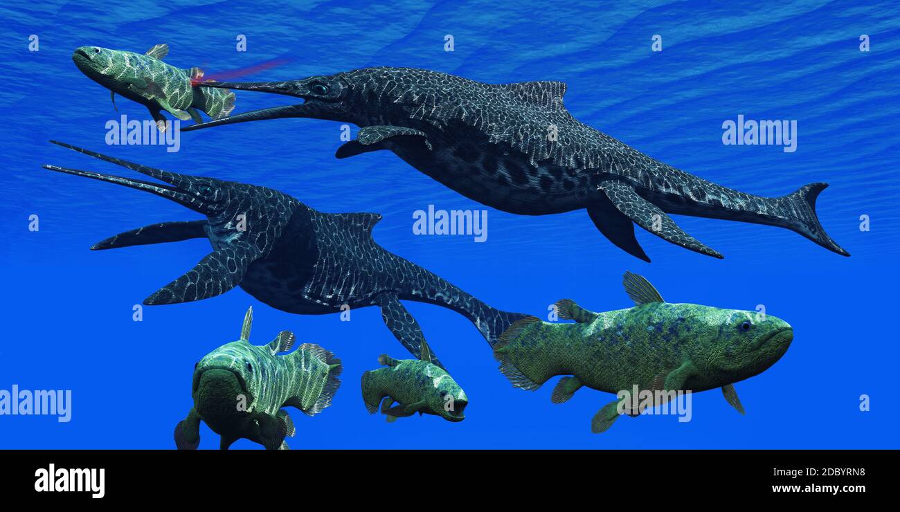 Sea dinosaur underwater prehistoric monster hi-res stock photography ...