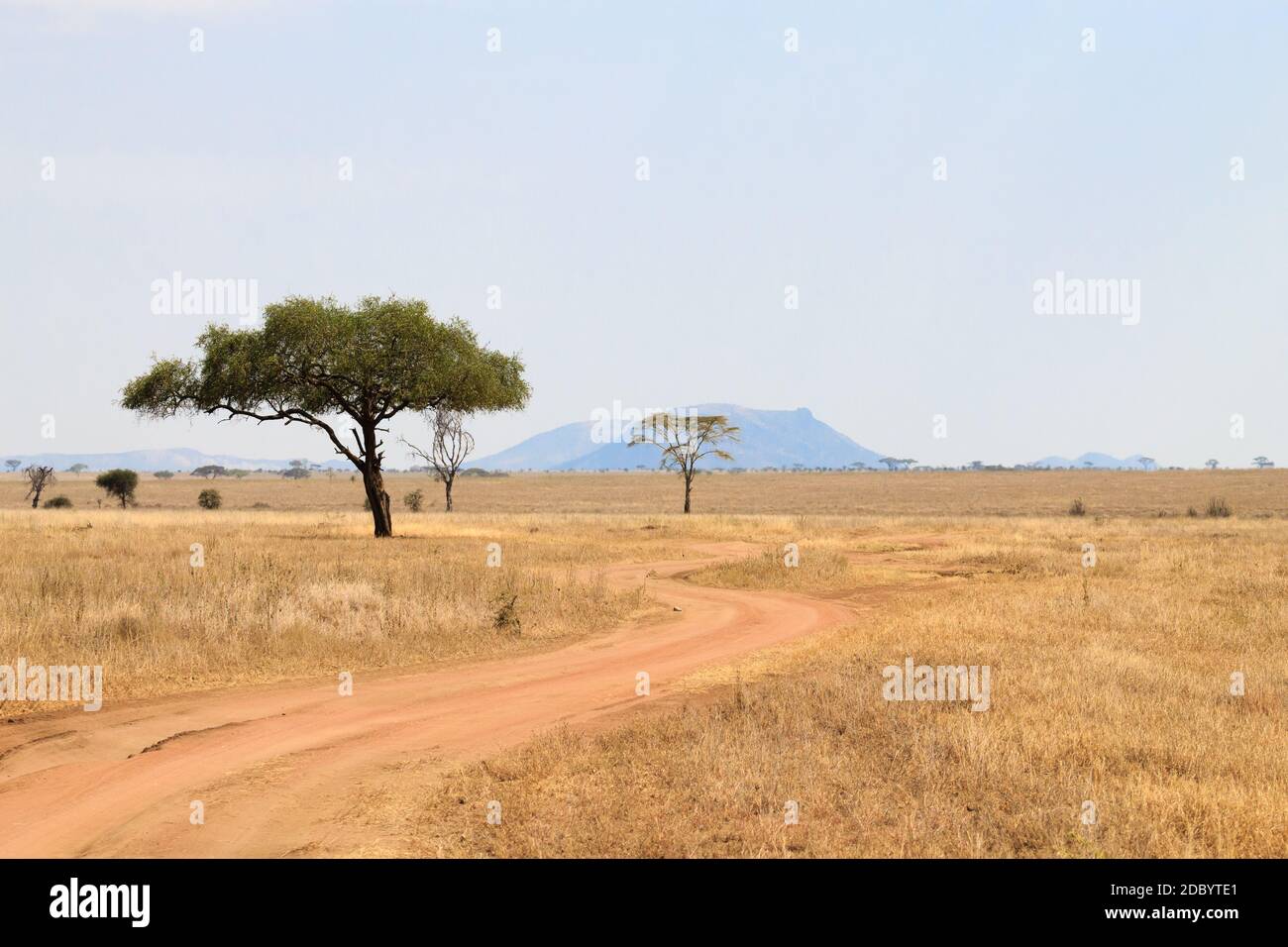 Serengeti National Park landscape, Tanzania, Africa. African panorama ...