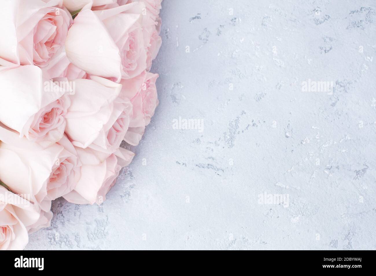 Light Pink And Gray Background