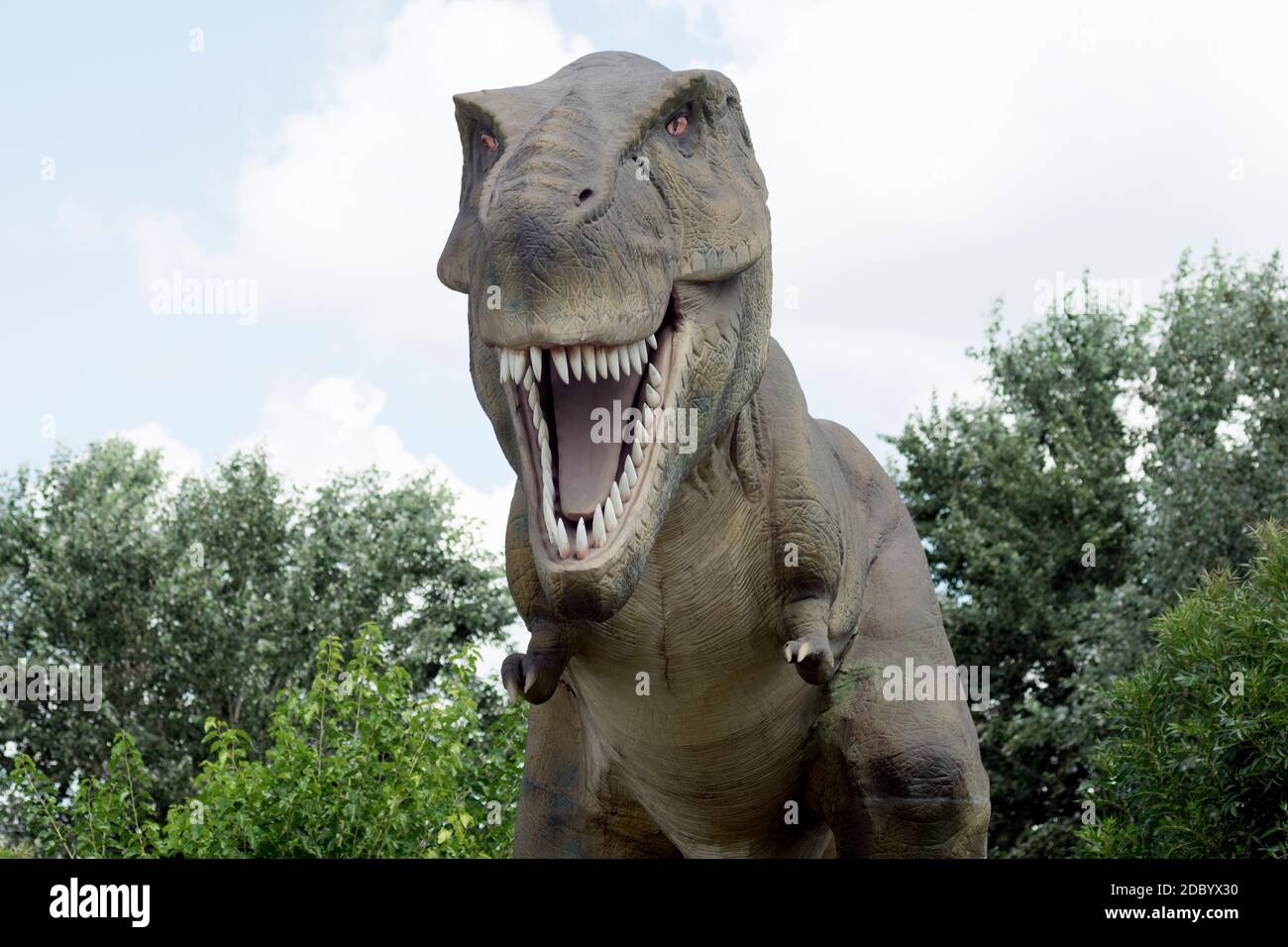 The ancient extinct yrannosaurus rex dinosaur is outdoors in nature ...