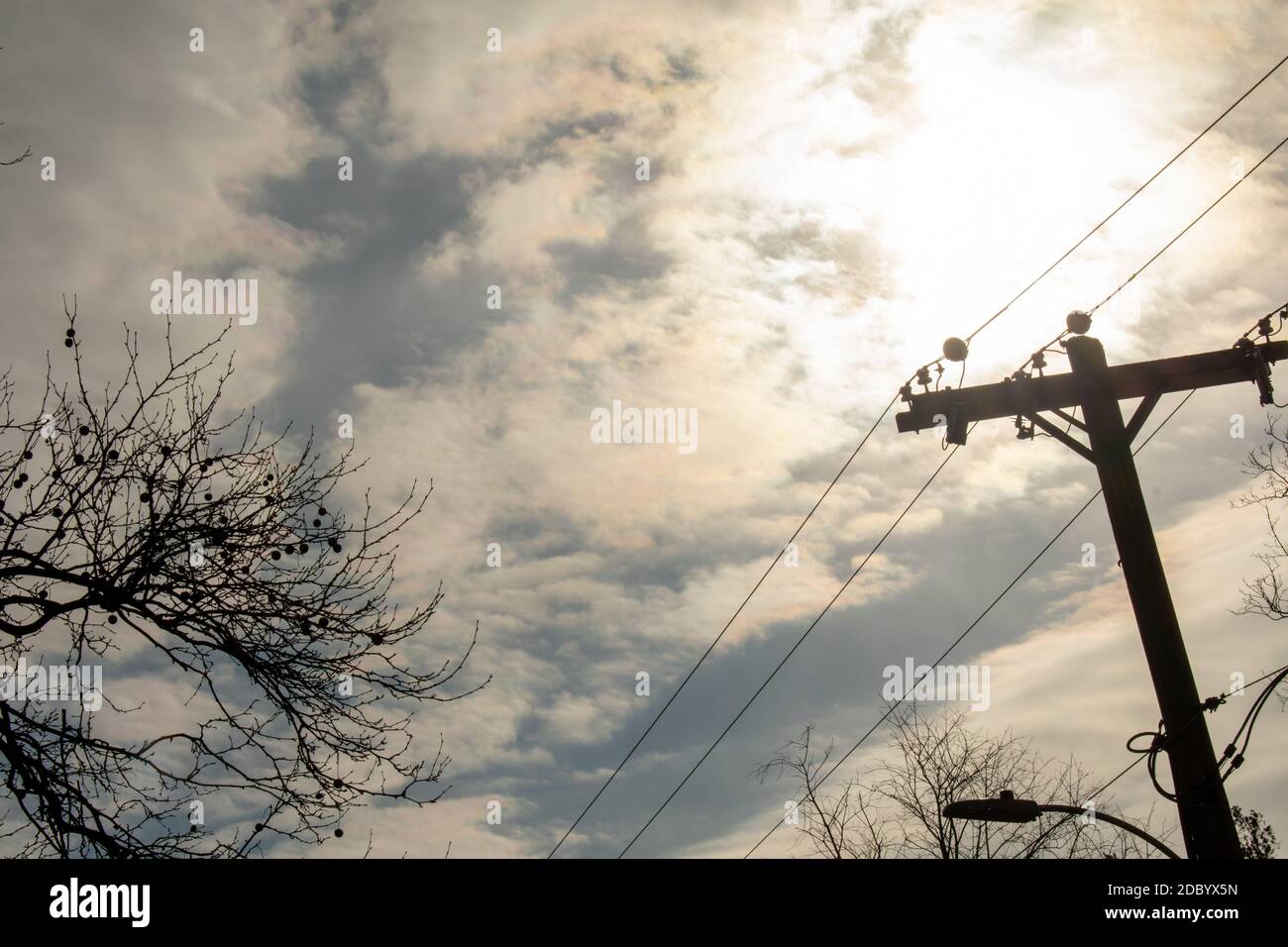 Silhouette Telephone Wires and Trees With the Sun Behind a Cloudy Sky ...
