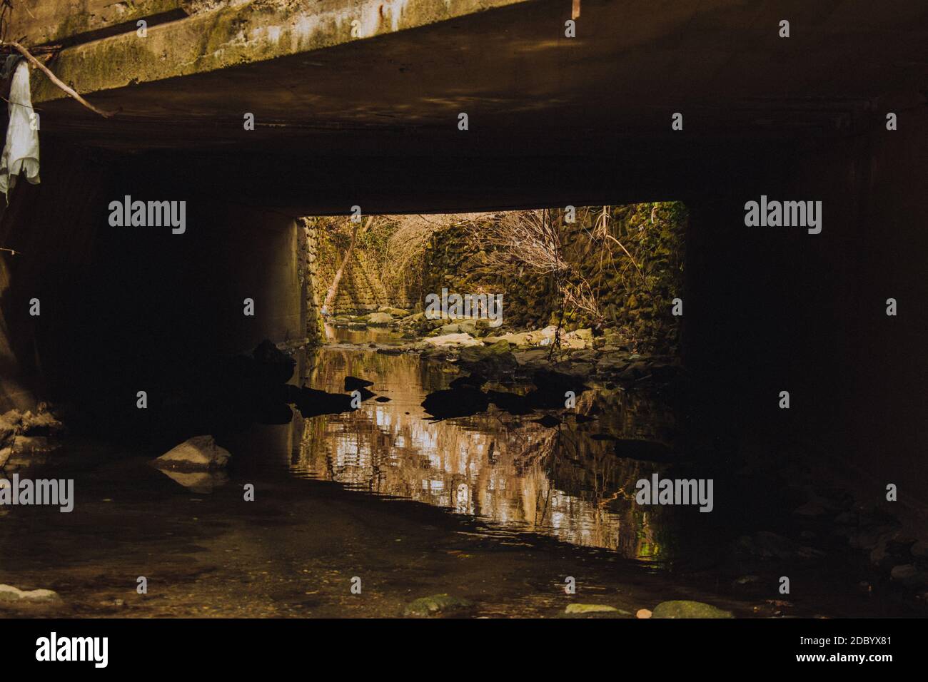 A Shallow Creek Flowing Under a Concrete Bridge Surrounded by Rocks ...