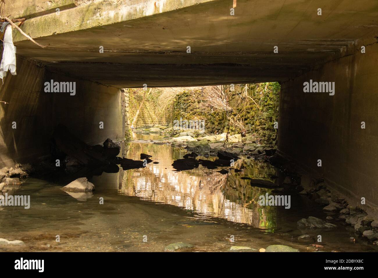 Shallow creek flowing under hi-res stock photography and images - Alamy