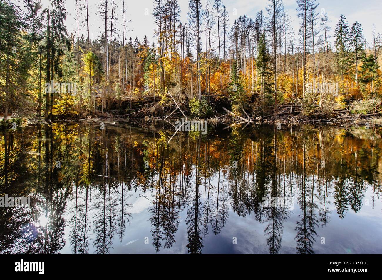 M cz hi-res stock photography and images - Alamy