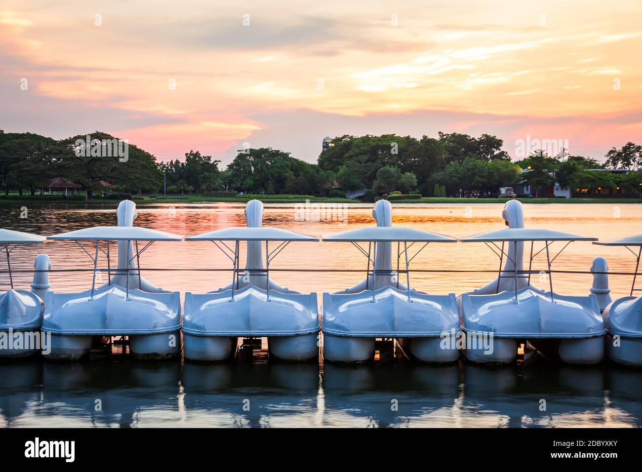 Row of white swan spinning pedal boats on water in a lake of public ...