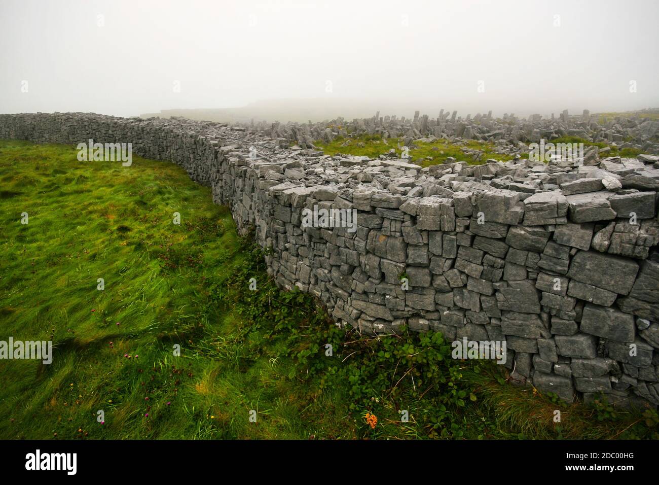 Stone brick walls rising from soft grass near Dun Aonghasa - semi ...