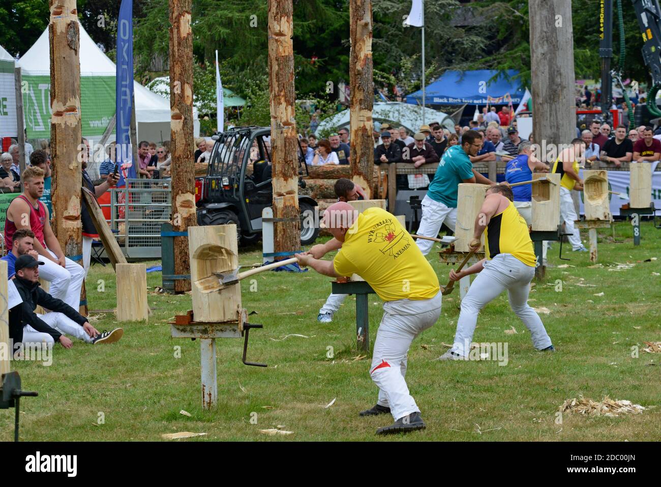 Axemen from several countries competing at the standing block axe ...