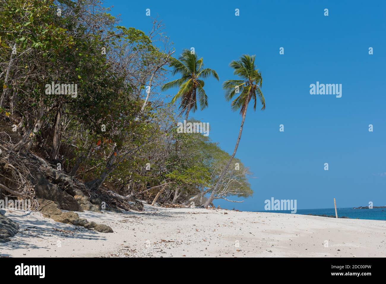 tropical beach on the cebaco island, Panama Stock Photo - Alamy