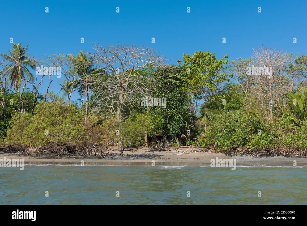 tropical beach on the cebaco island, Panama Stock Photo - Alamy