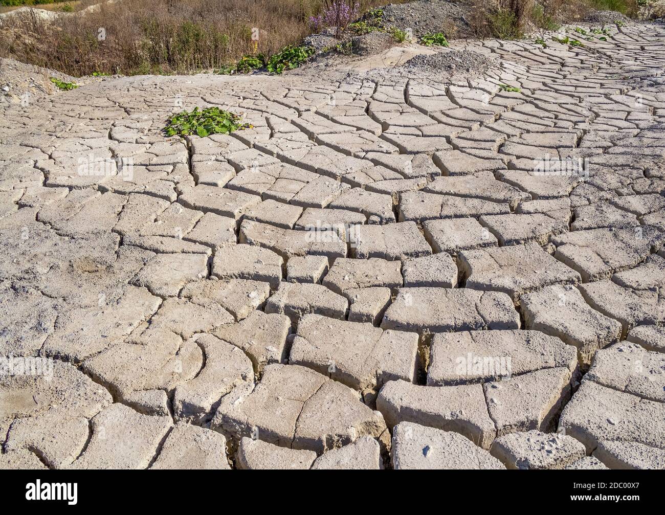 sunny arid scenery including lots of fissured dry ground Stock Photo ...