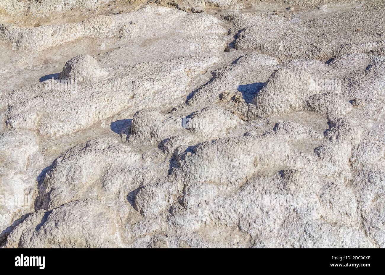 Scarious hi-res stock photography and images - Alamy