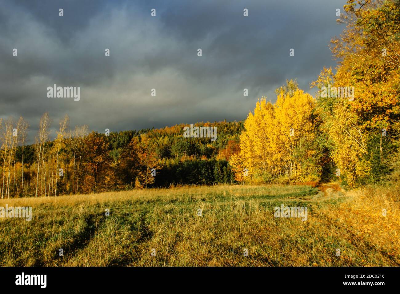 Fall countryside before the rain. Storm clouds, dark sky and colorful ...