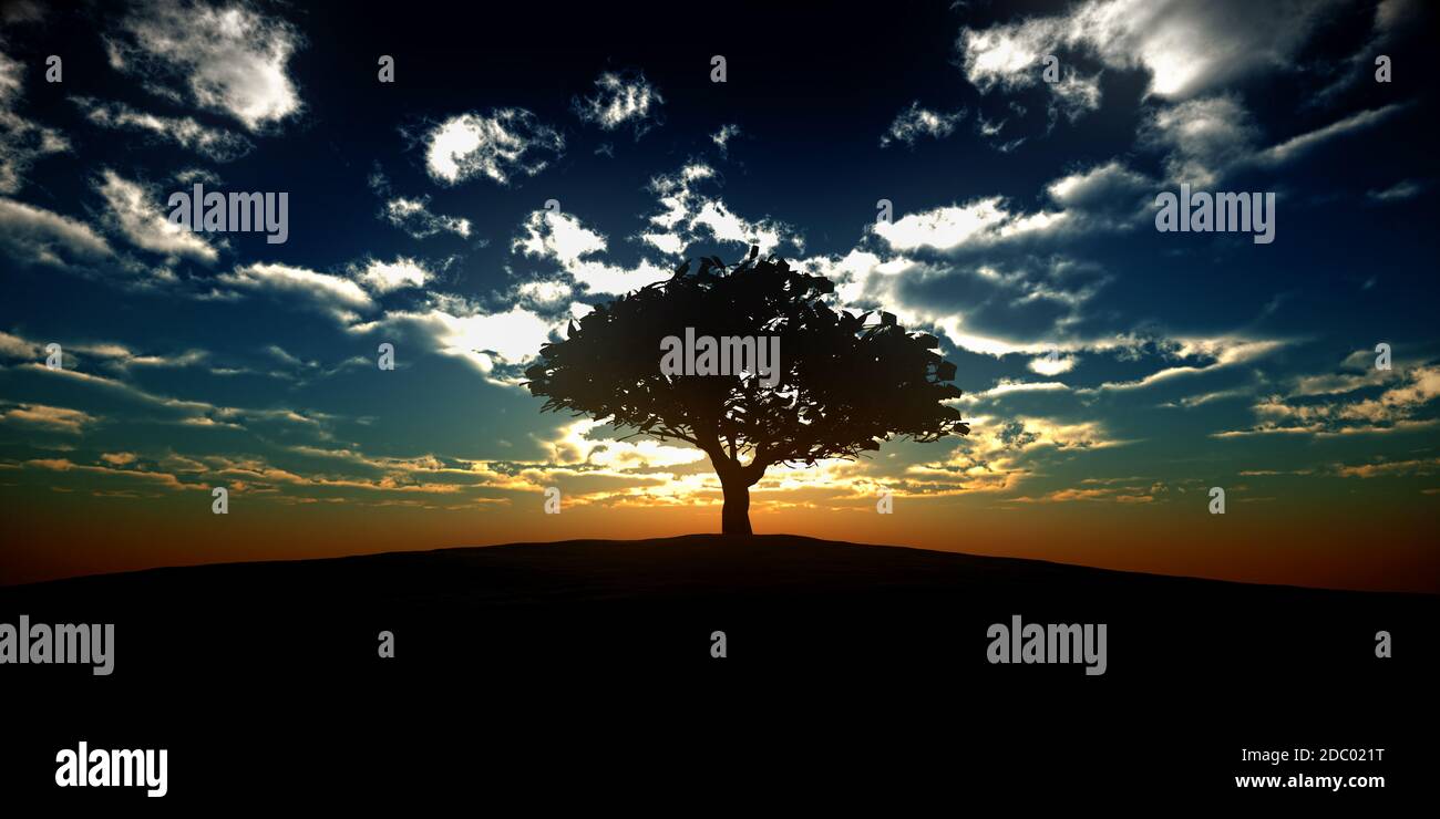 tree on the filed sunset sky, 3d render illustration Stock Photo - Alamy