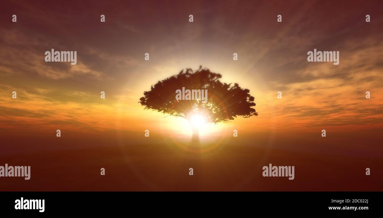 tree on the filed sunset sky, 3d render illustration Stock Photo - Alamy