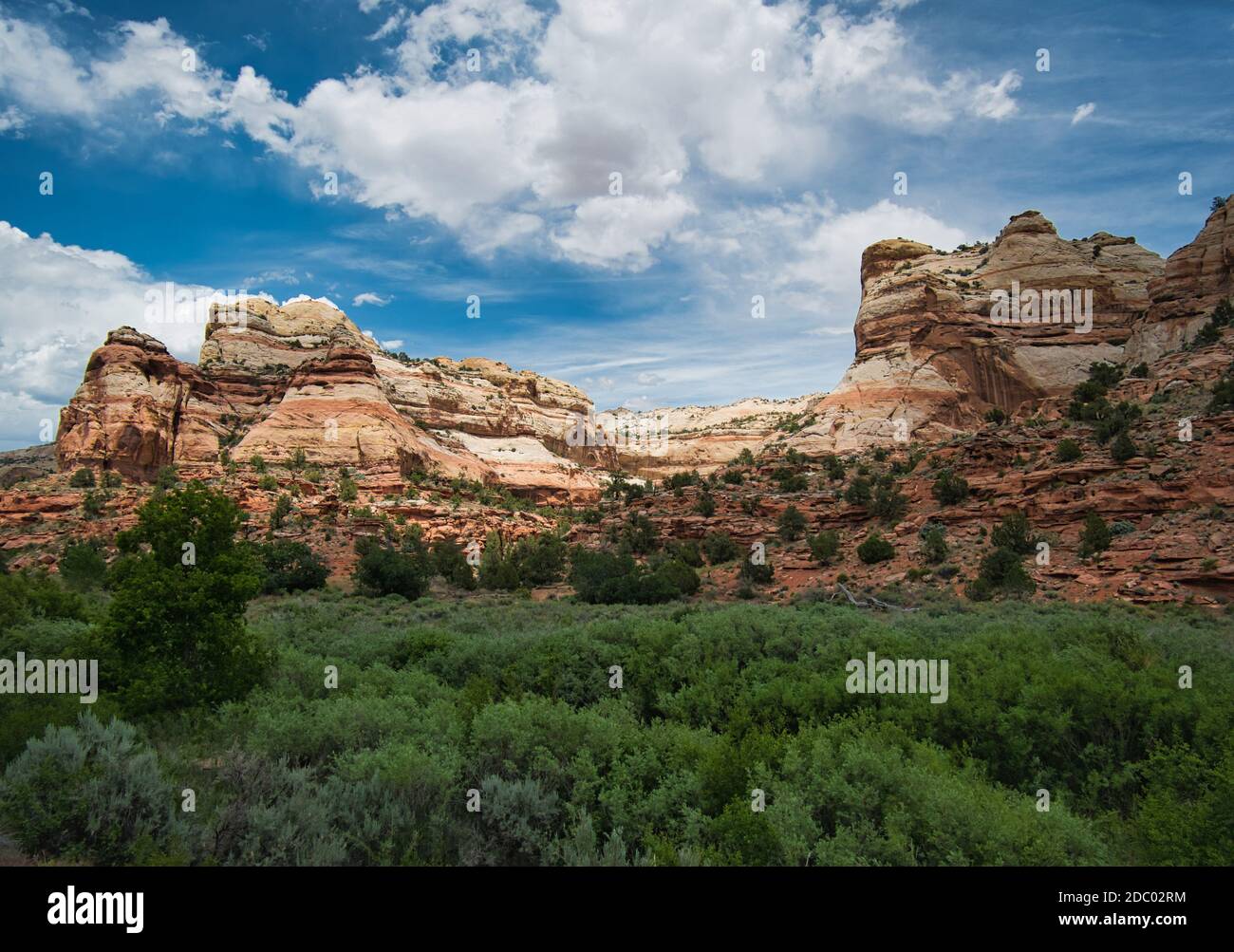 A green valley and rocky mountains with colorful layers of rock in the ...