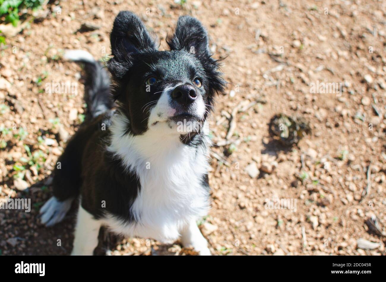 Boder hi-res stock photography and images - Alamy