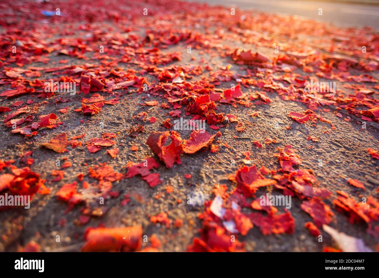 New Year's firecrackers the day after New Year´s Eve Stock Photo - Alamy