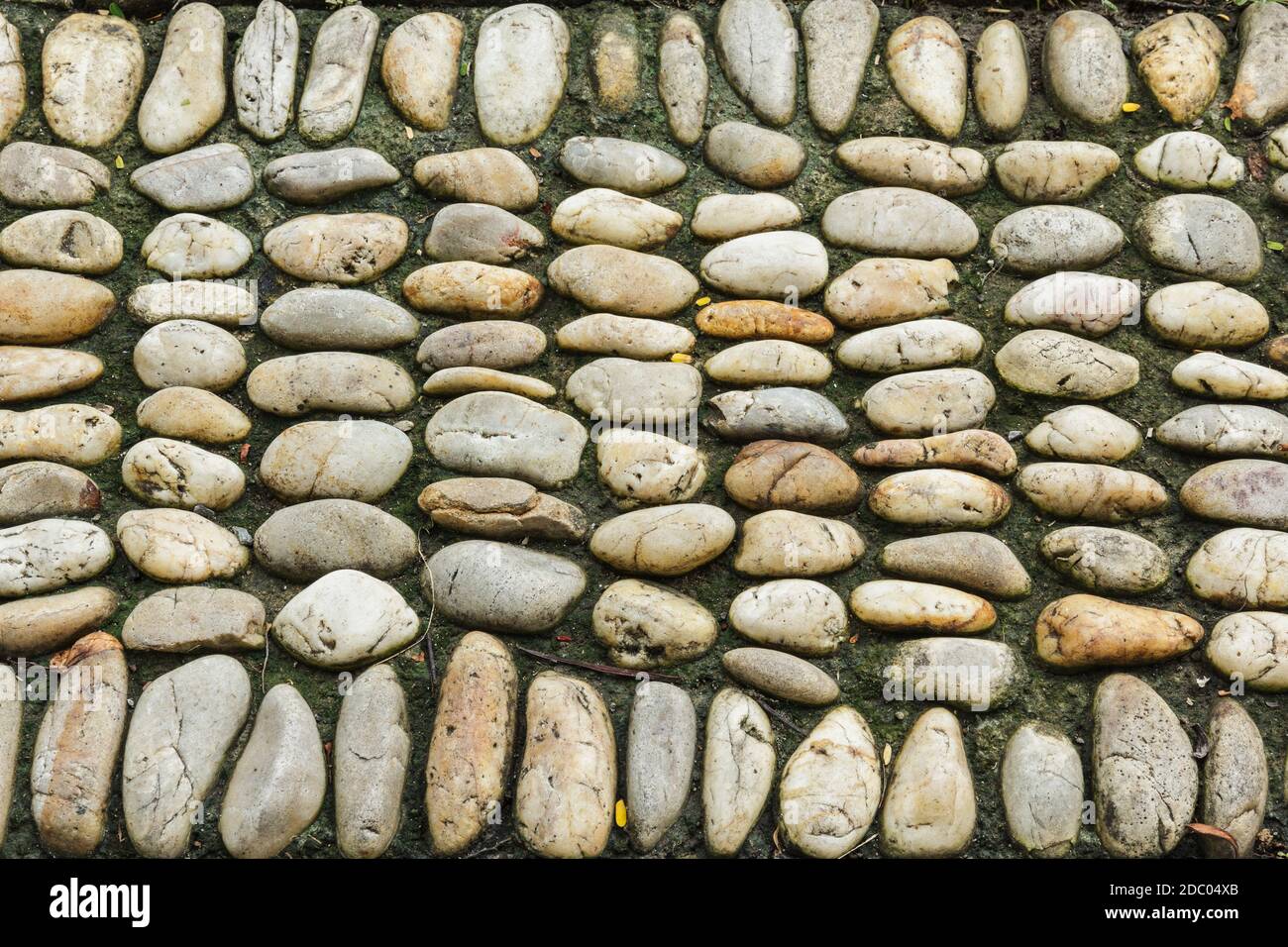 color pebble stone in the path Stock Photo - Alamy