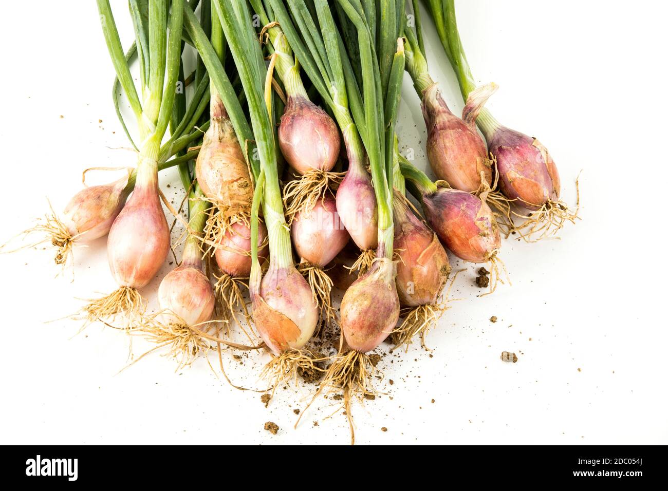 Bundle of onions hi-res stock photography and images - Alamy