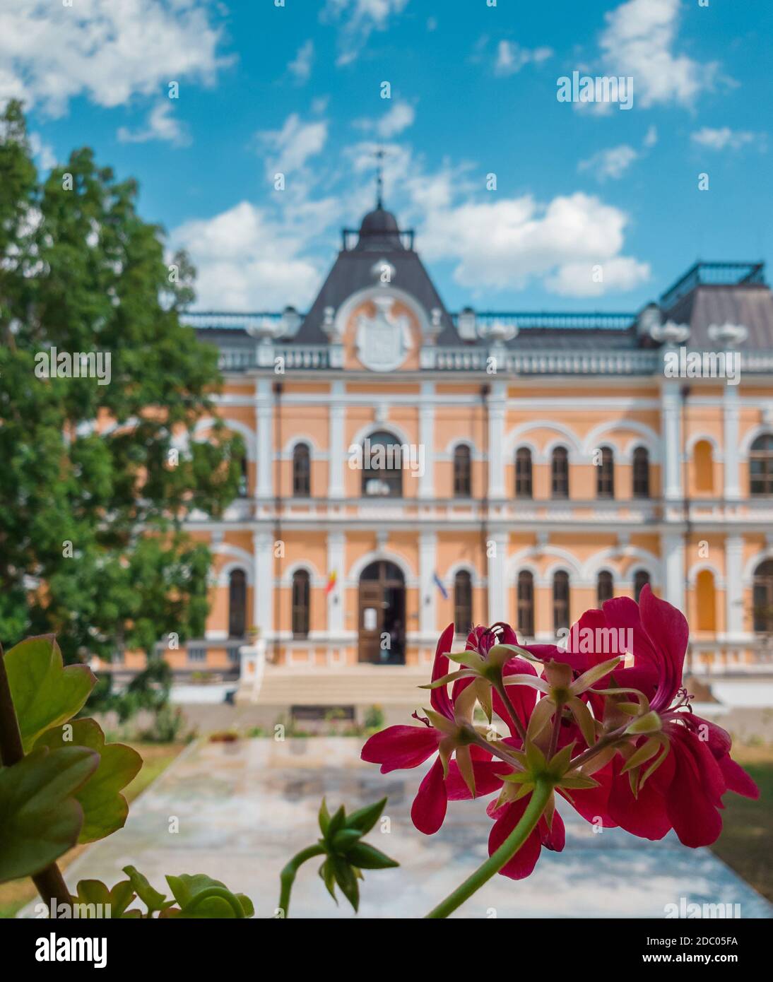 Close up of red flowers over the Manuc Bei mansion background. An ...
