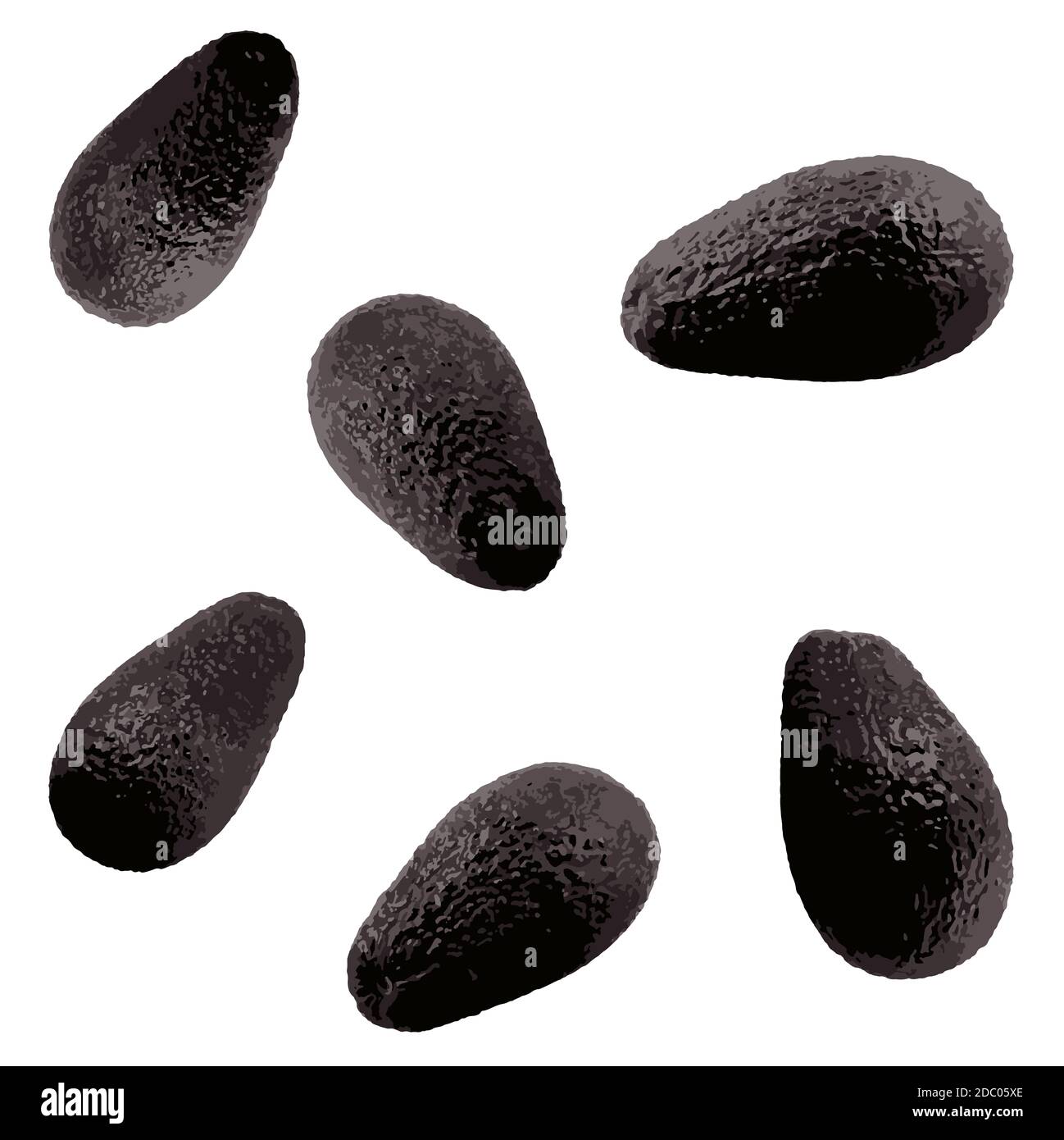 Fresh hass avocado against white background. The hass avocado is a ...