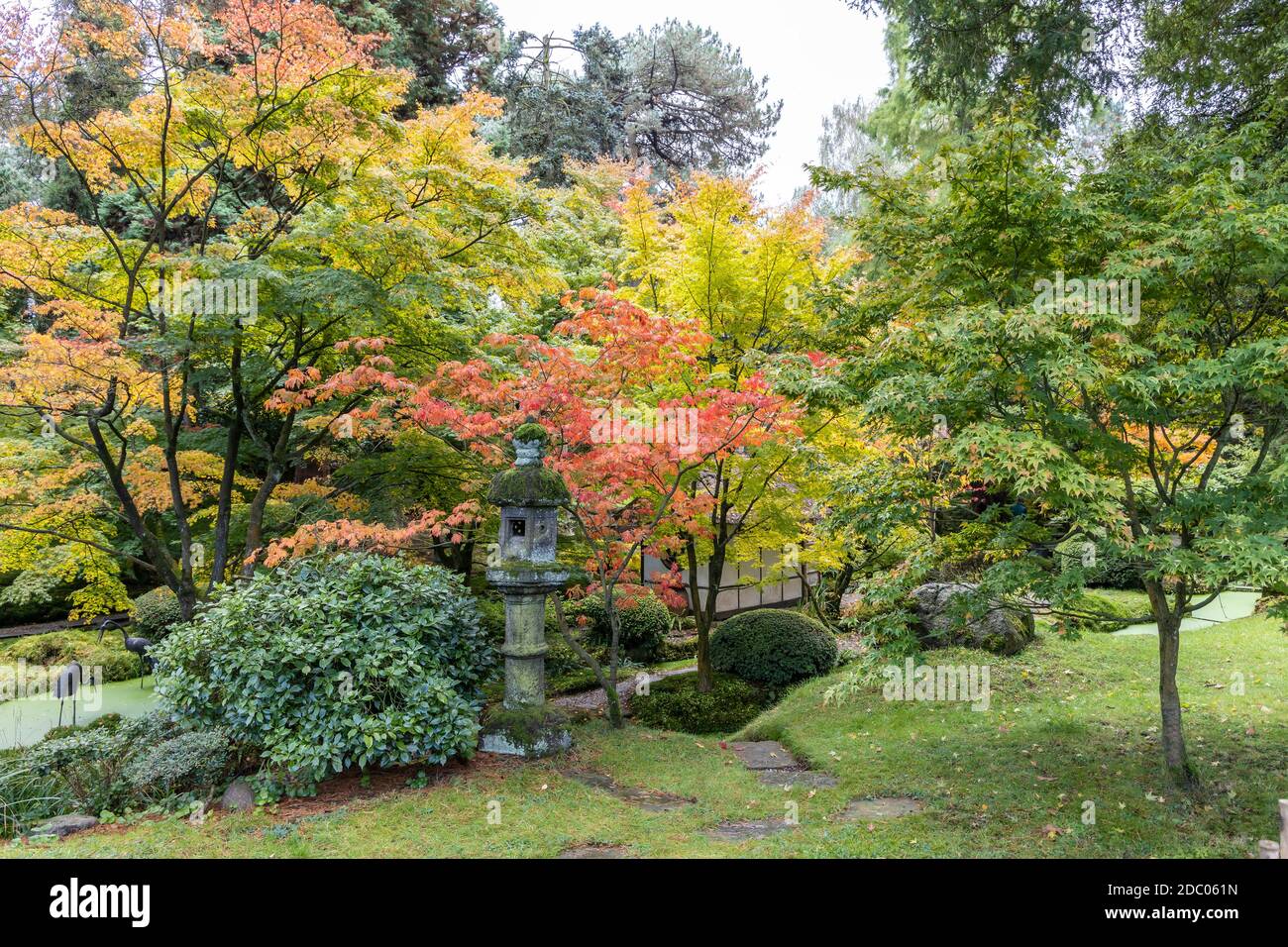 Scenic corner of Japanese Garden with stone lantern in Tatton Park ...