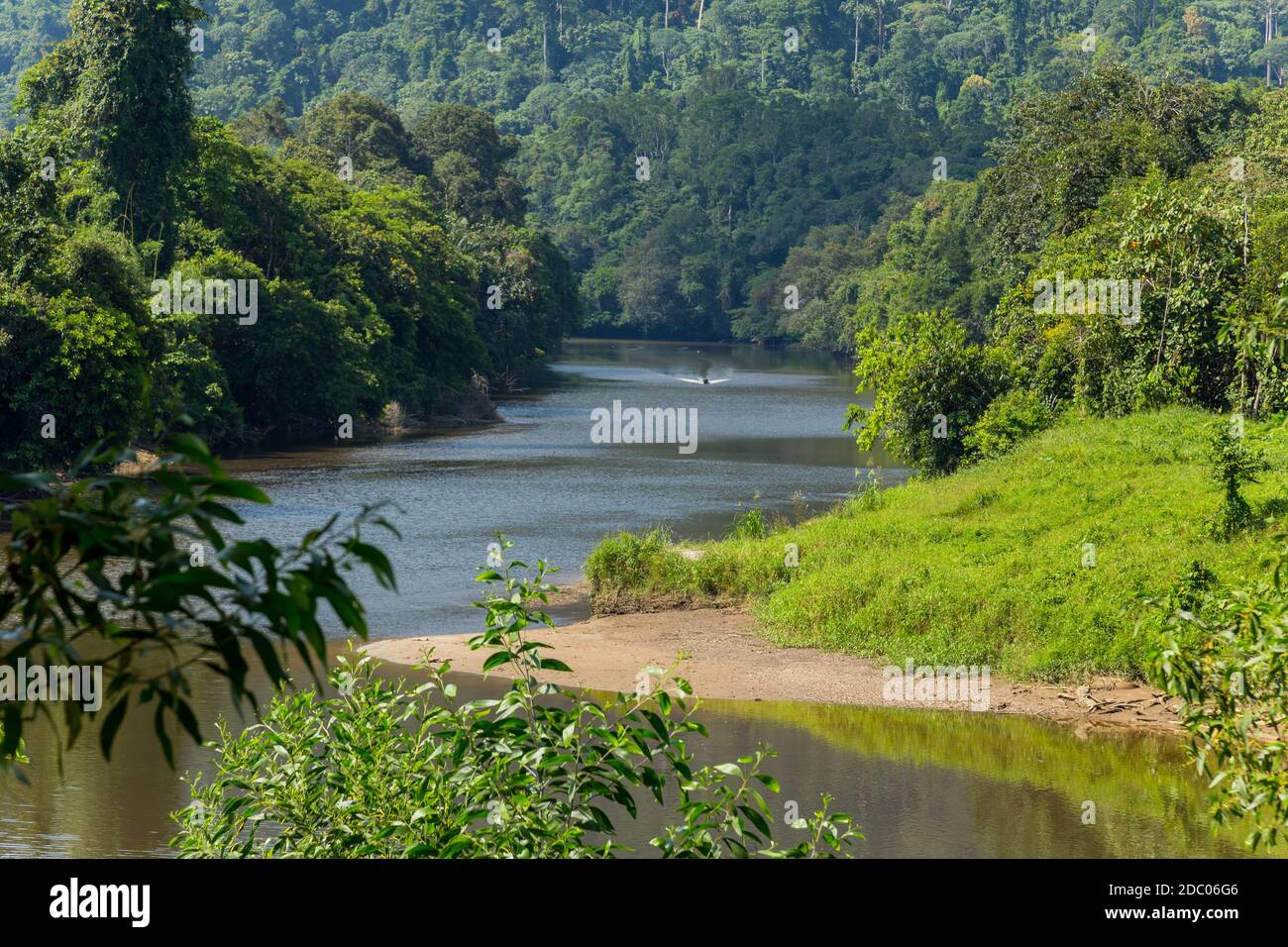Temburong River, Virgin Rainforest, Ulu Temburong National Park, Brunei ...