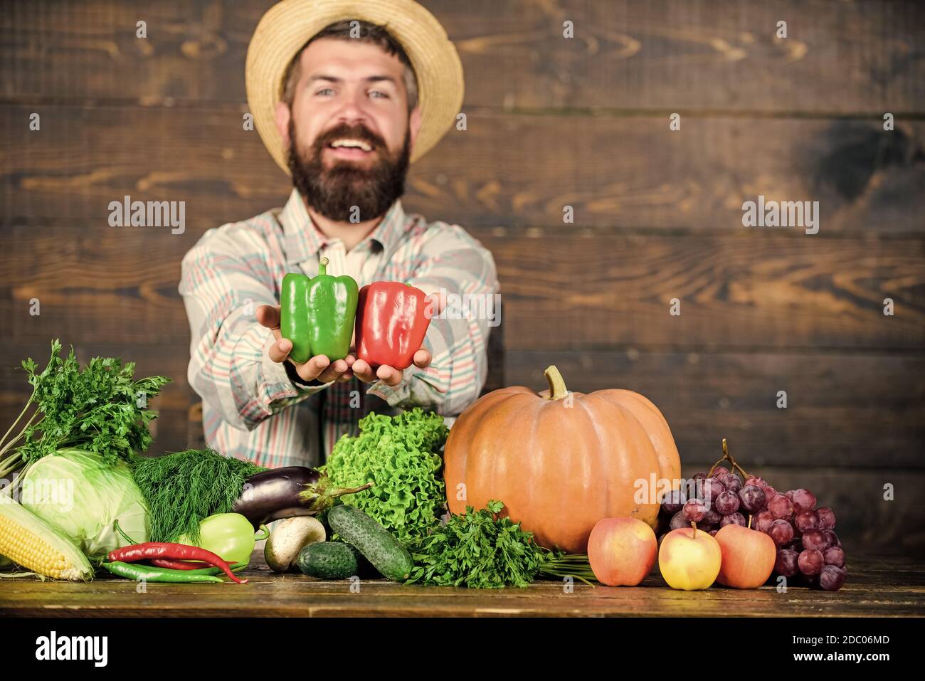 Typical farmer guy. Farm market harvest festival. Sell vegetables. Man ...
