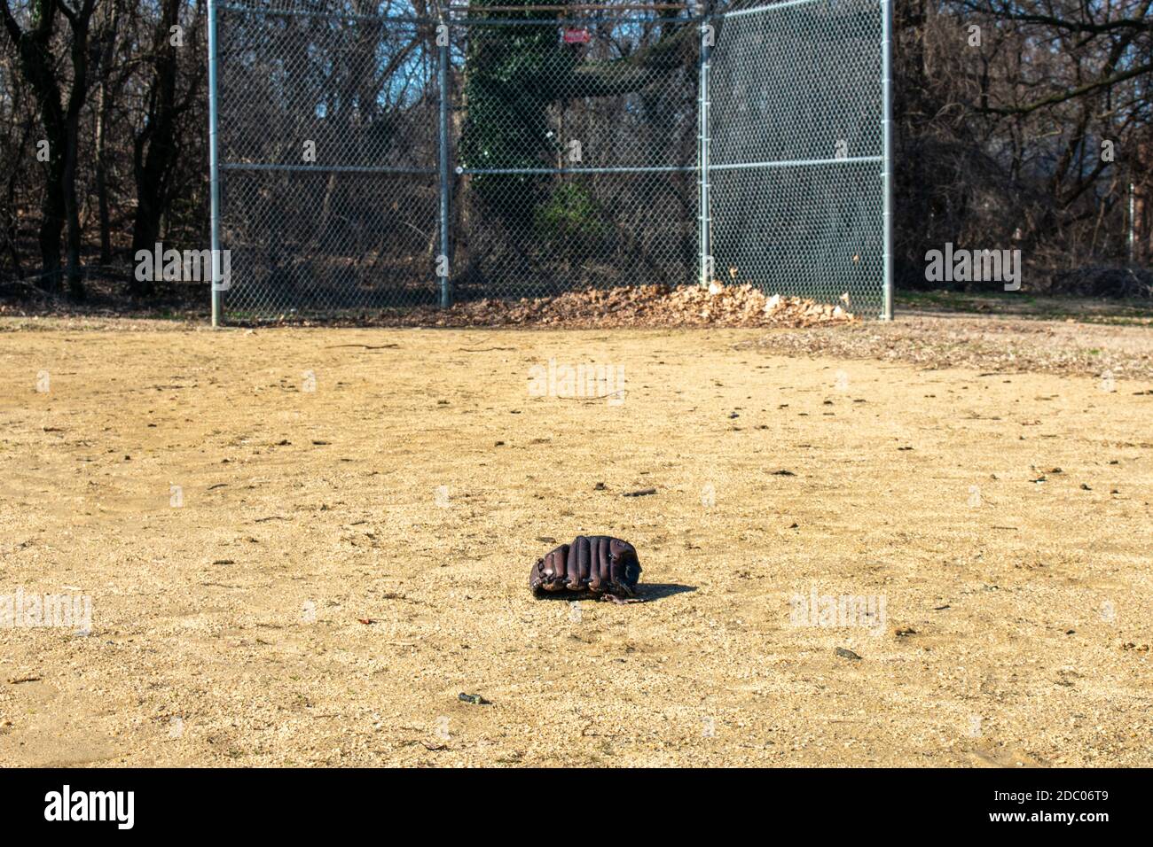A Forgotten Baseball Glove on a Sand Baseball Field Stock Photo - Alamy