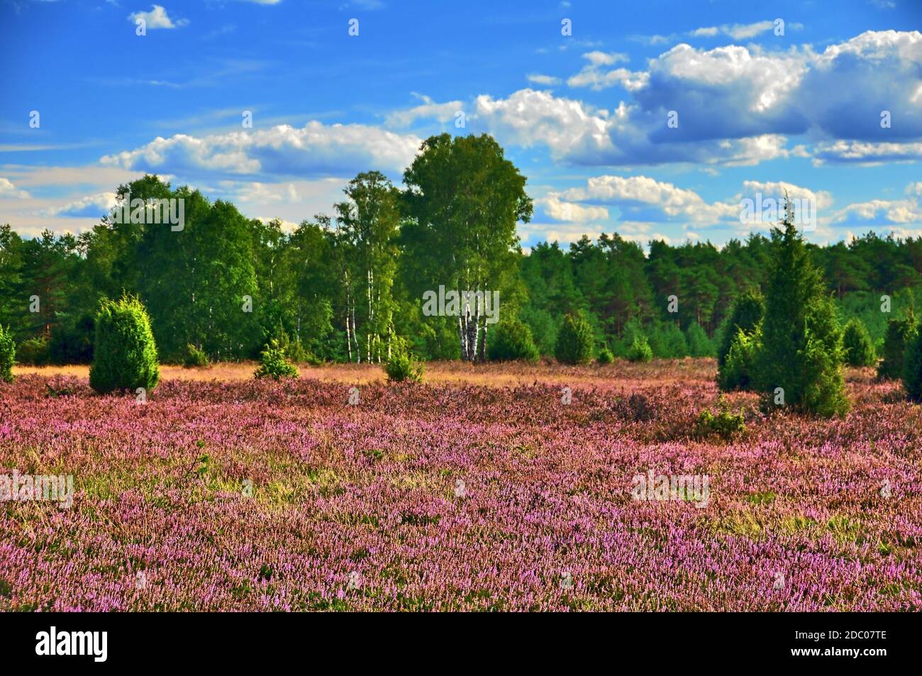 Heide land hi-res stock photography and images - Alamy