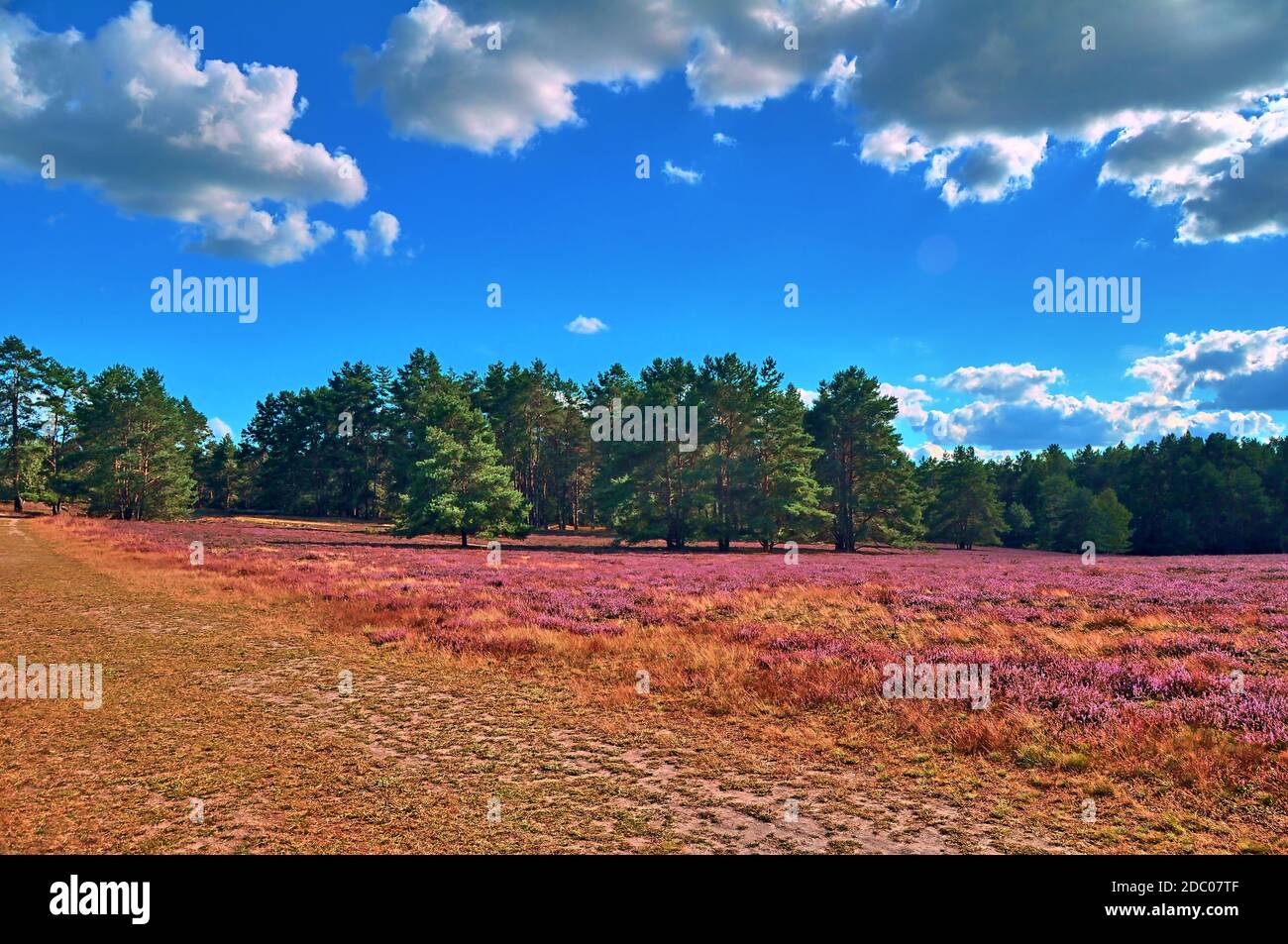 Heide land hi-res stock photography and images - Alamy