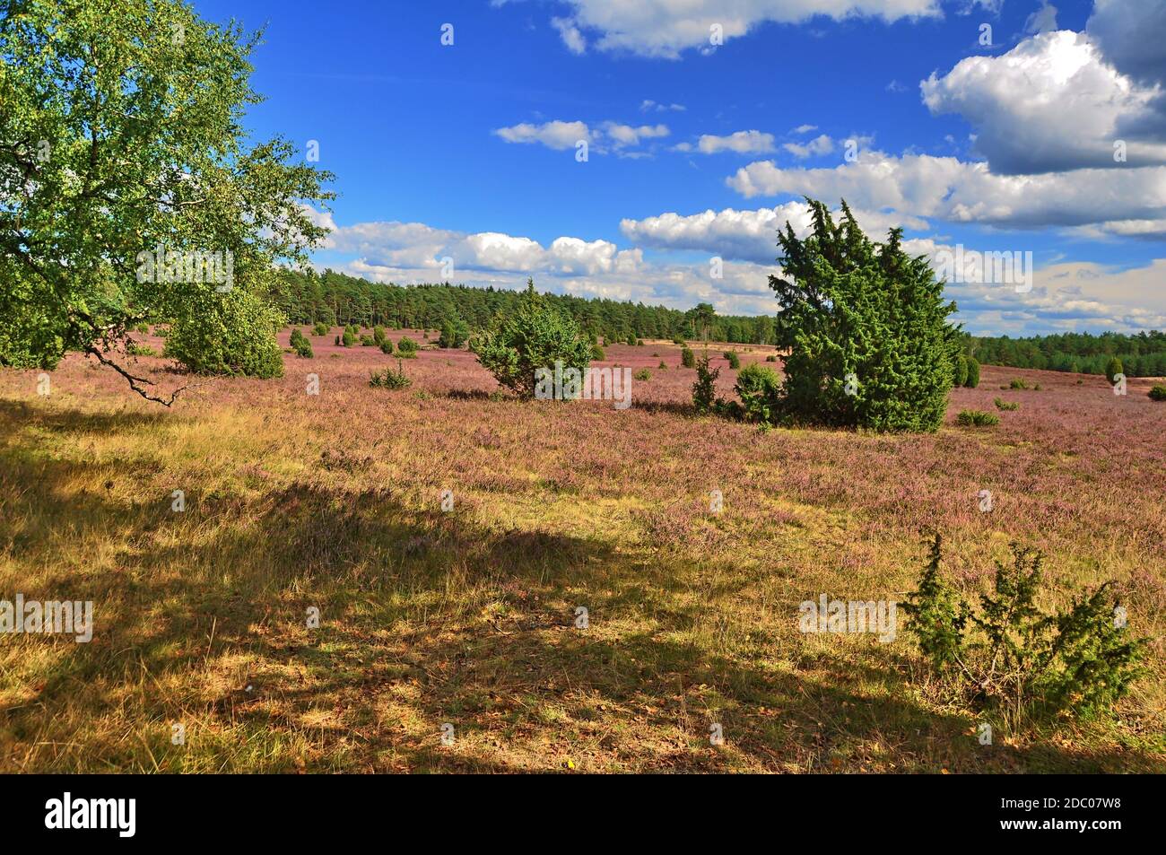 Heide land hi-res stock photography and images - Alamy