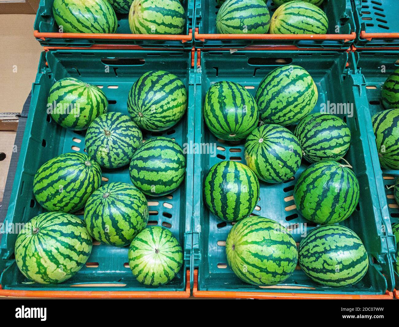 Watermelons watermelon crates crate hi-res stock photography and images ...