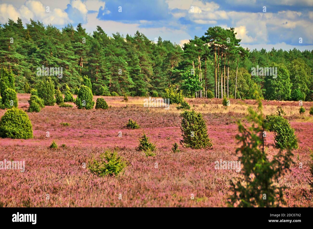 Heide land hi-res stock photography and images - Alamy