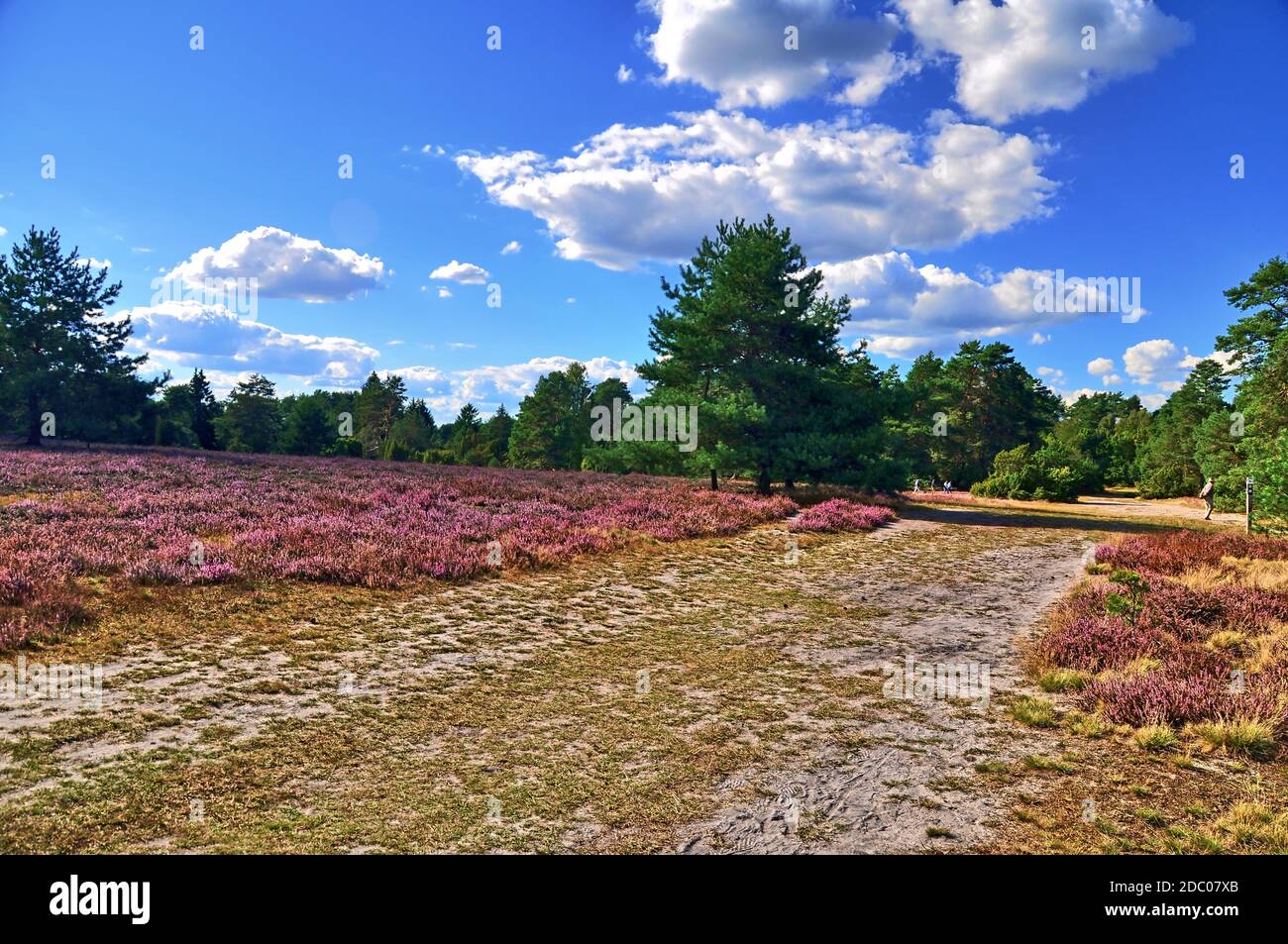 Heide land hi-res stock photography and images - Alamy