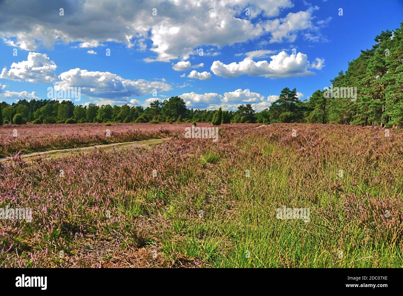 Heide land hi-res stock photography and images - Alamy