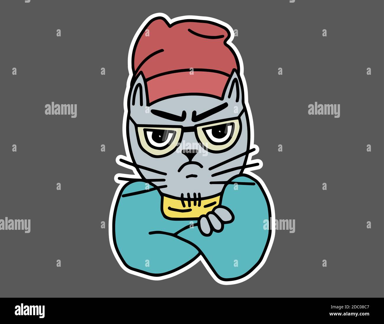 Angry Cat Wearing Clothes