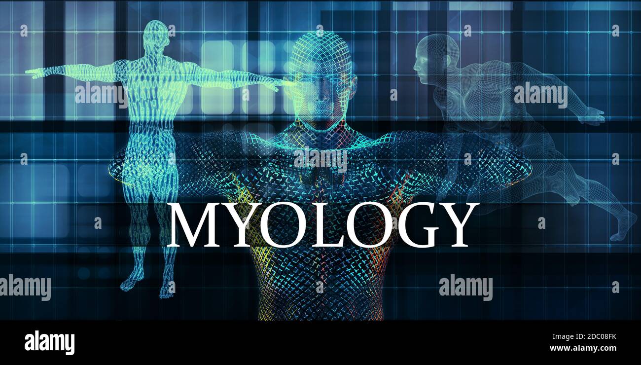 Myology Medicine Study as Medical Concept Stock Photo - Alamy
