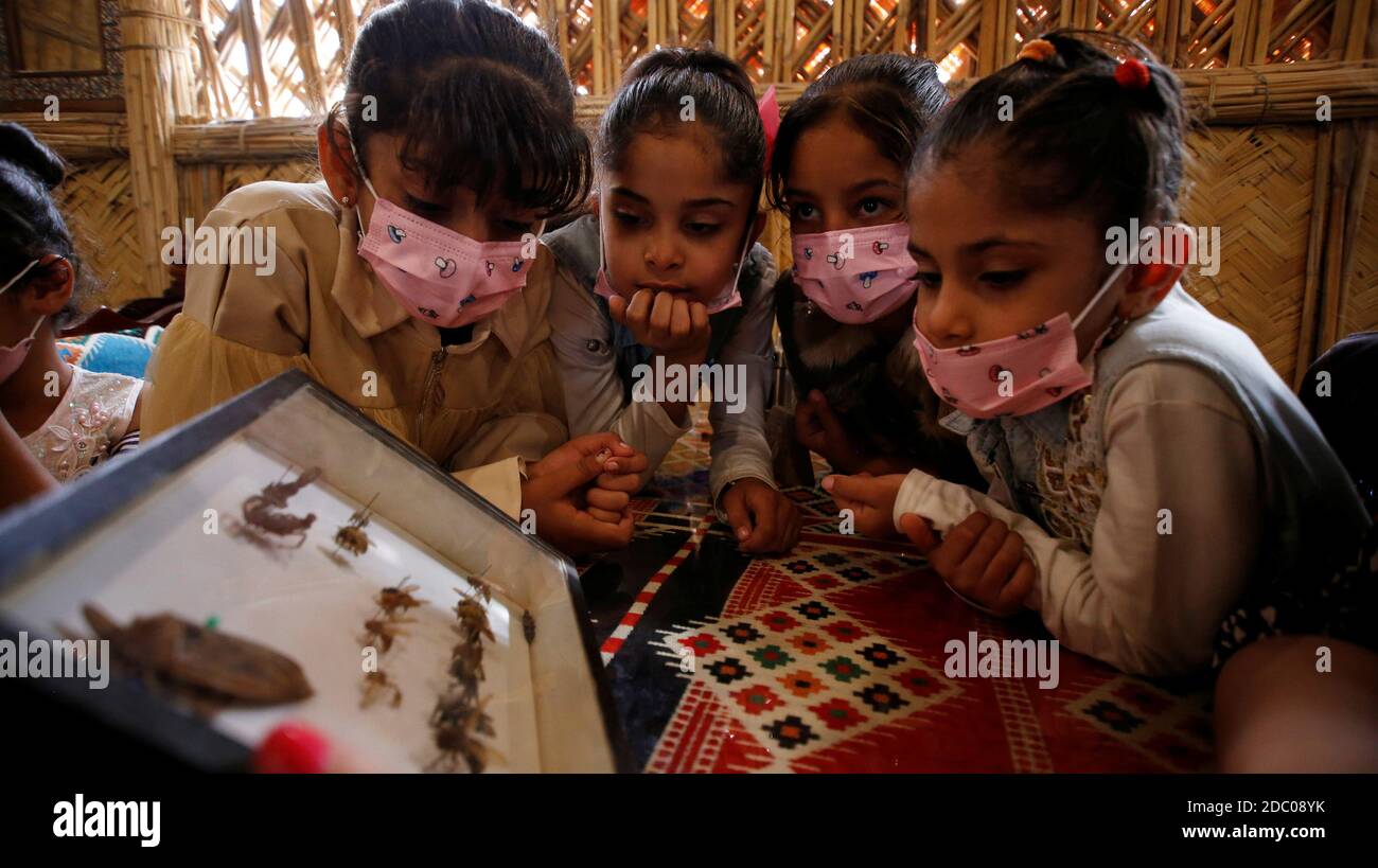 Mounted insects hi-res stock photography and images - Alamy