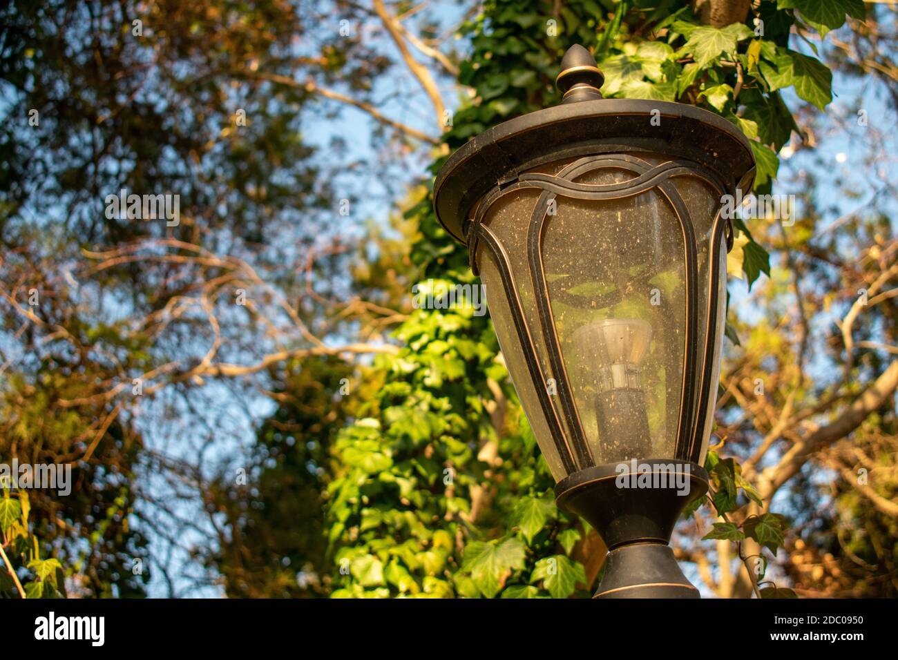 An Old Fashioned Black Metal Light Post With a Tree Behind It Stock ...