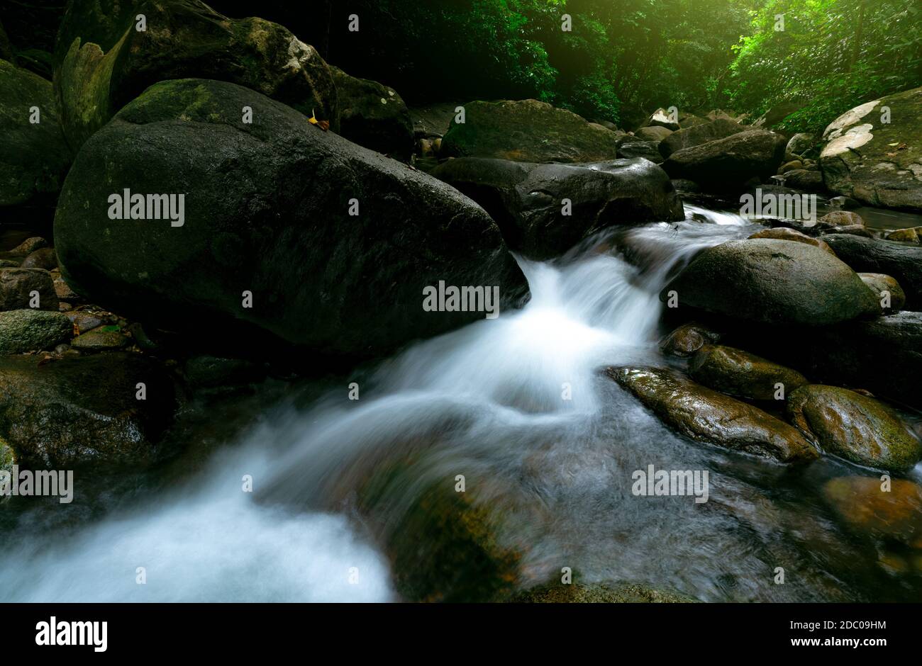 Beautiful waterfall in jungle. Waterfall in tropical forest with green ...