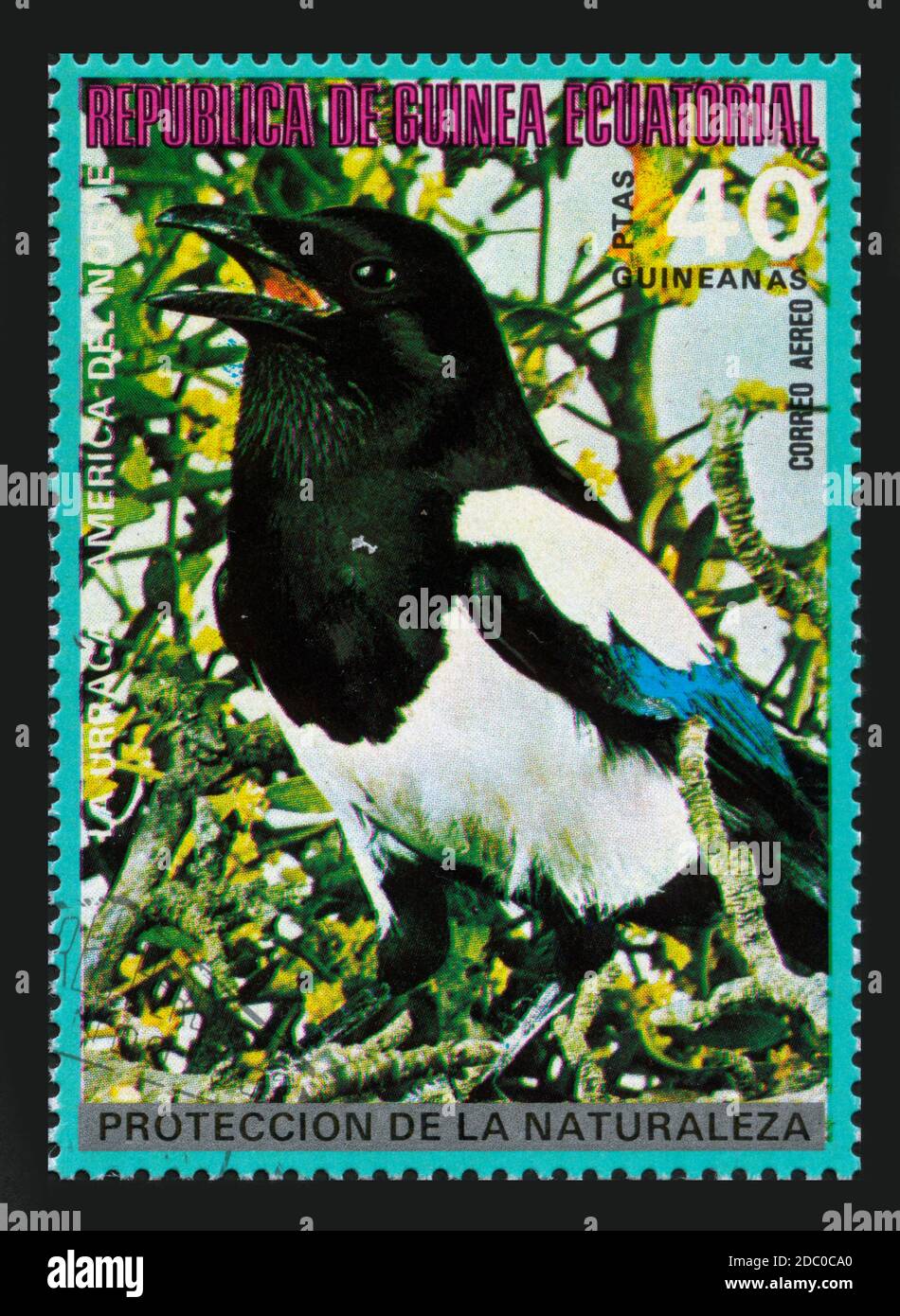 Equatorial birds hi-res stock photography and images - Alamy