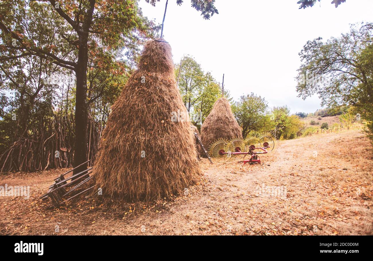 Traditional haystack at the rural farmland on an autumn day Stock Photo ...
